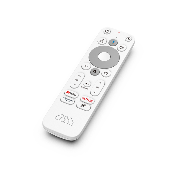 Standard Remote – Homatics